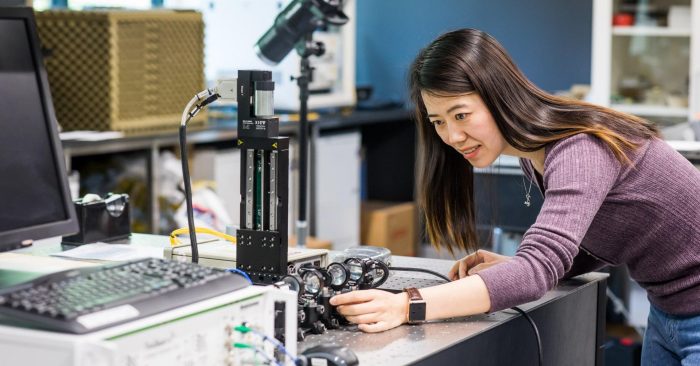 Diploma Programs | UNSW College